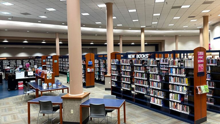 Explore the Magic of the Summerlin Library