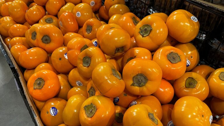 A Delicious Day Out At H Mart
