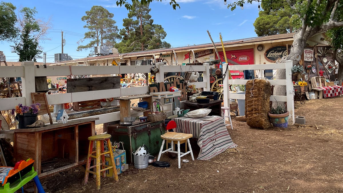 McKee Ranch Foundation: Vegas' Wholesome Petting Party