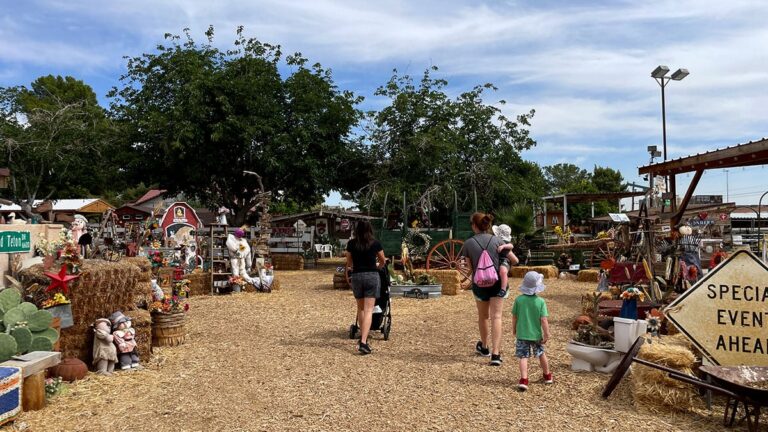 McKee Ranch Foundation: Vegas' Wholesome Petting Party