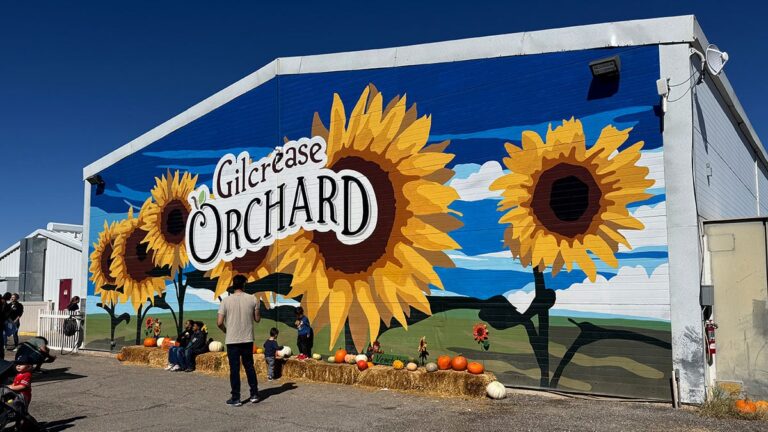 Pick, Play, and Explore: Gilcrease Orchard